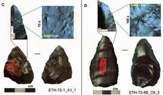 Το δόρυ μπορεί να εφευρέθηκε πριν από τον σύγχρονο άνθρωπο – Pronews.gr