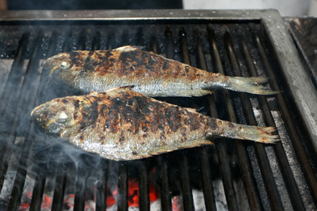 Γιατί λέμε: “Του έψησε το ψάρι στα χείλη” – Pronews.gr