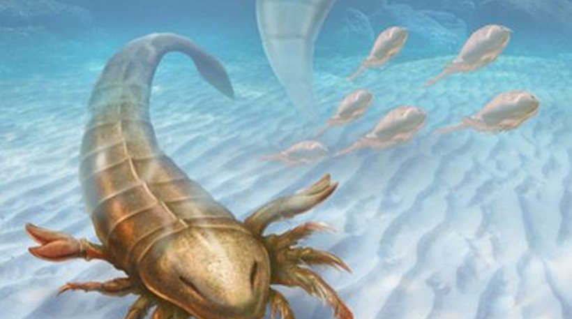 Ο γιγάντιος σκορπιός και το αρχαιοελληνικό του όνομα (εικόνες) – Pronews.gr