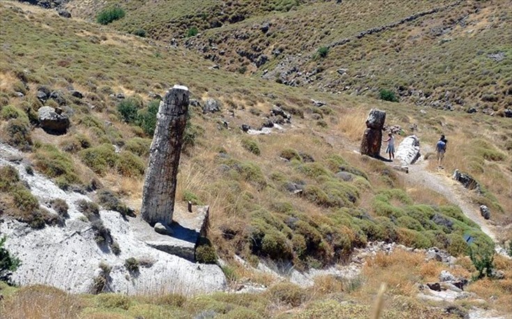 Το απολιθωμένο δάσος 2 εκατ. ετών που βρίσκεται στη Λέσβο! (φωτό ...