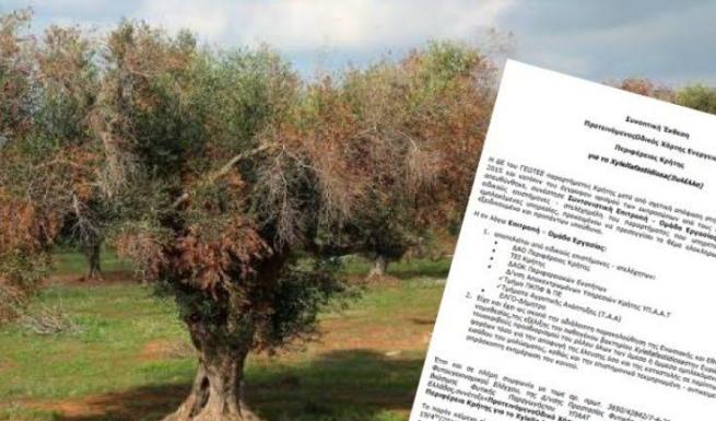 Συναγερμός στην επιστημονική κοινότητα εξαιτίας του παθογόνου βακτηρίου ...