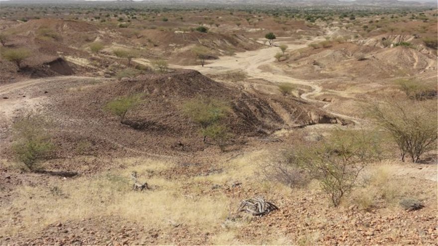 Κένυα: Ανακάλυψαν απολίθωμα μικροσκοπικού πιθήκου 4,2 εκατ. ετών ...