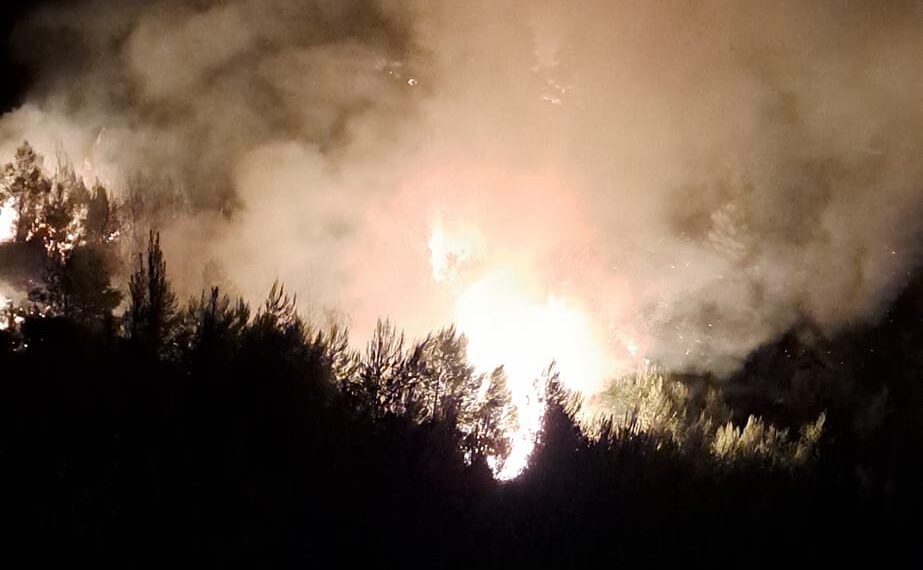Ηλεία: Πυρκαγιά στην Ανάληψη Αμαλιάδας – Pronews.gr