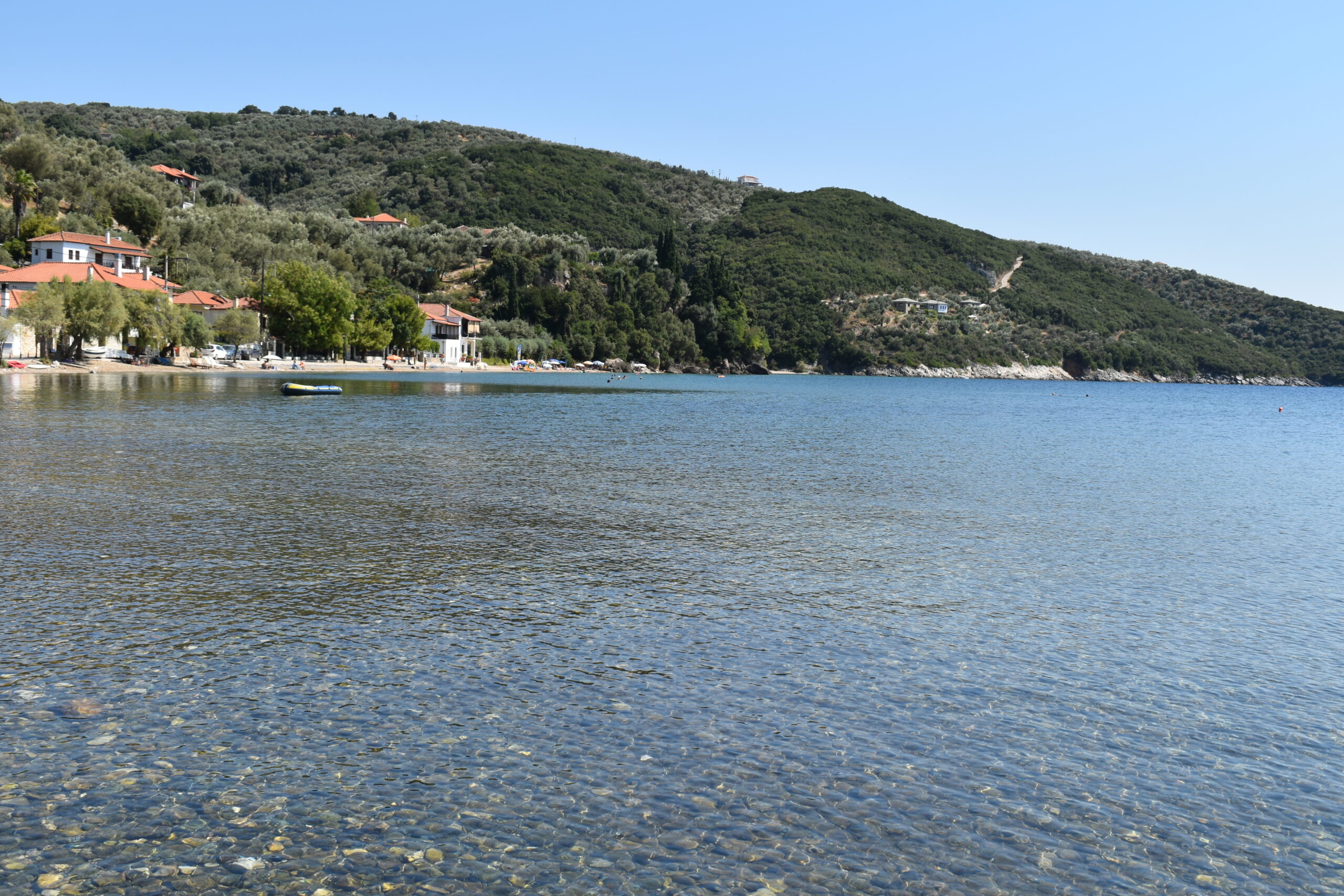 Υφυπουργός Αγροτικής Ανάπτυξης και Τροφίμων: «Δεν τίθεται θέμα ...