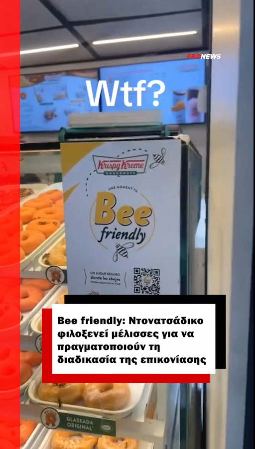 Bee friendly: Ντονατσάδικο φιλοξενεί μέλισσες για να πραγματοποιούν τη ...