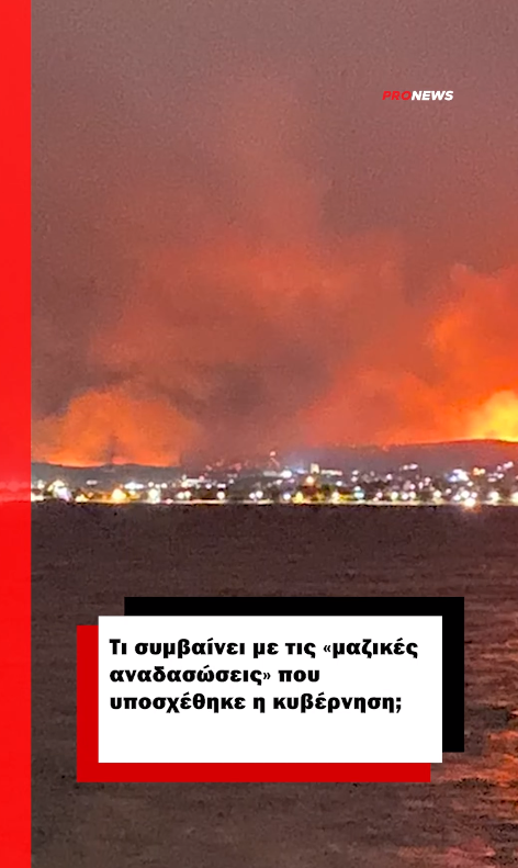 Τι συμβαίνει με τις «μαζικές αναδασώσεις» που υποσχέθηκε η κυβέρνηση ...