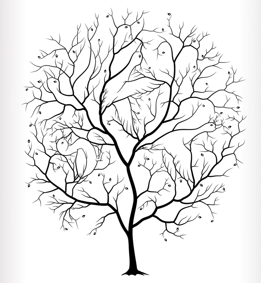 Η οφθαλμαπάτη με τις κρυμμένες πάπιες που έχει προκαλέσει «χαμό» – Μπορείτε να τις εντοπίσετε ...